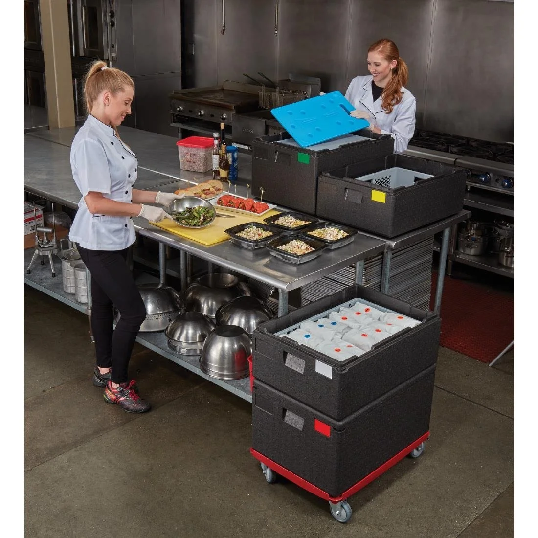 Cambro Camchiller Cold Plate